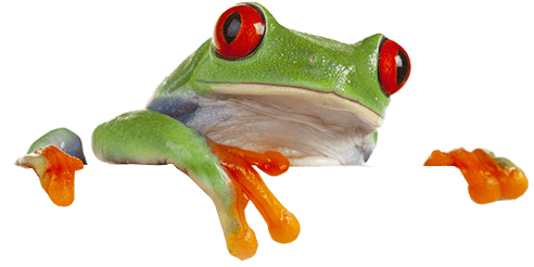 ᐅ Gratis Software von FRANZIS: Jetzt kostenlos sichern