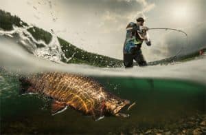 3D Angeln Simulator: 👉 Jetzt kostenlose Vollversion sichern