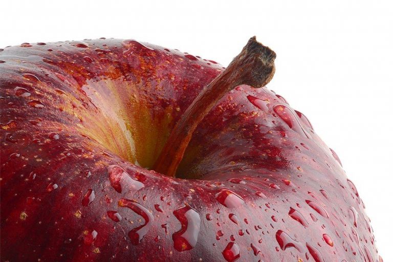 focus projects 4 von Franzis 👉 professionelles Focus-Stacking