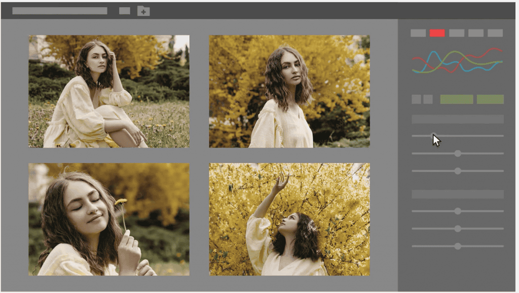 Das große Herbst-Update für Zoner Photo Studio X : Alle Features